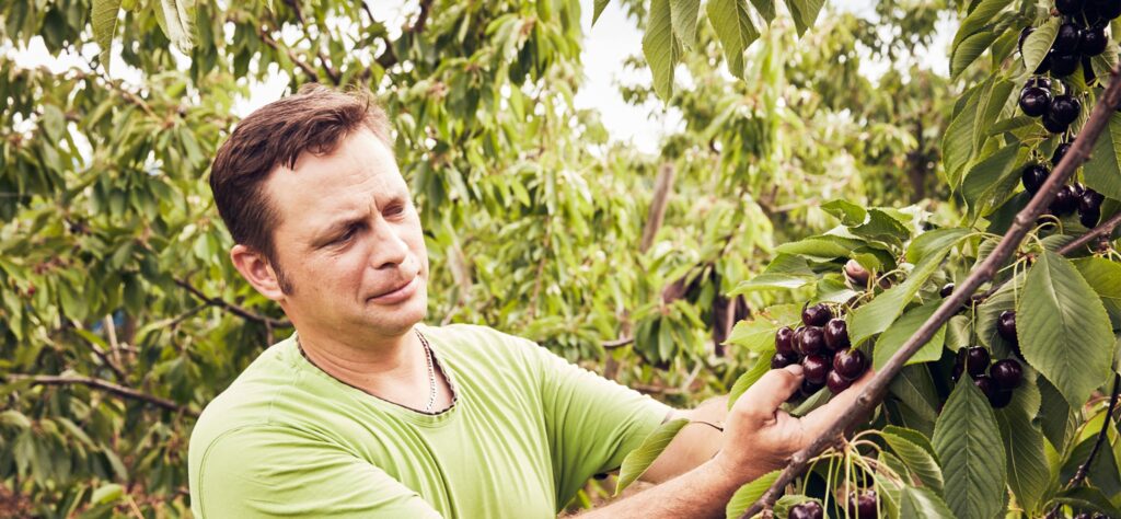 Home - Obst aus Hessen