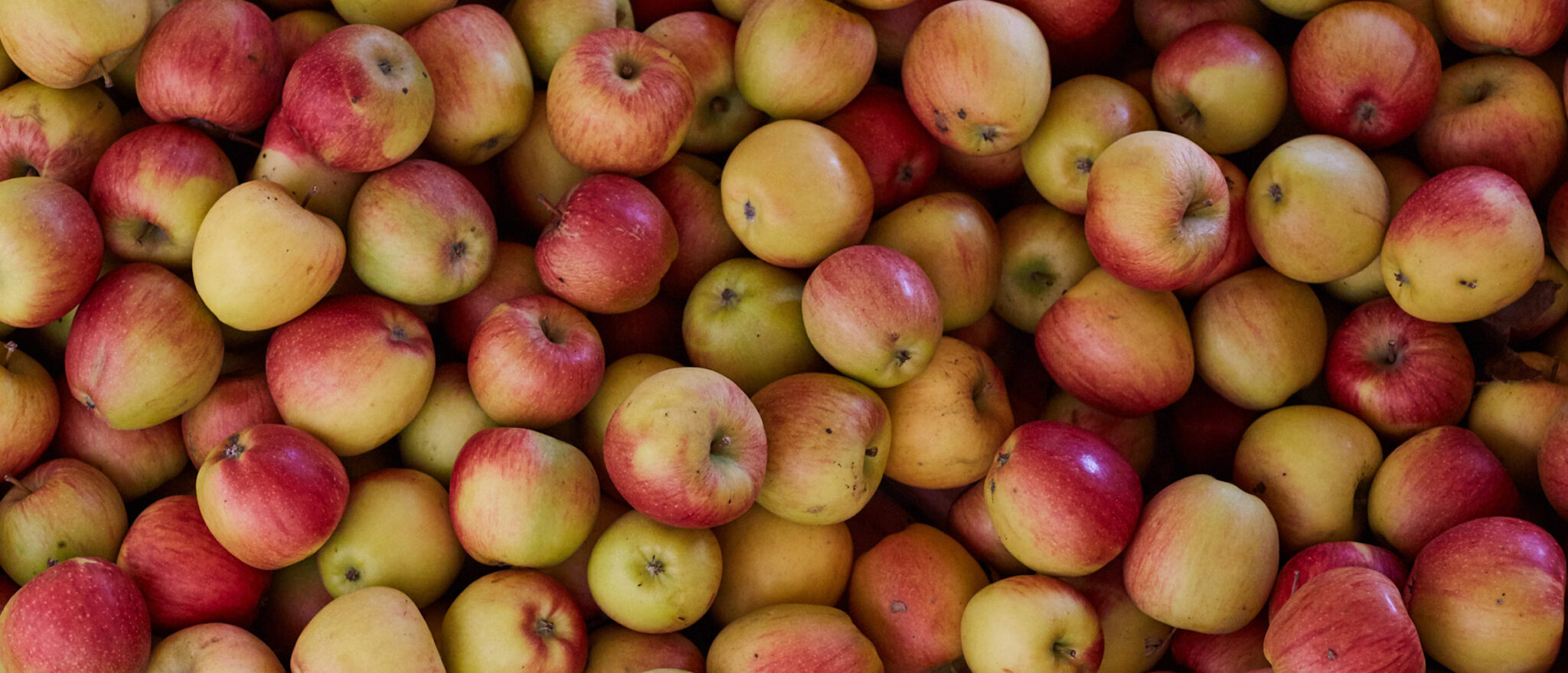 Home - Obst aus Hessen